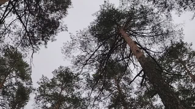 Инвестиции. Правила поведения в море инвестиций. Простые правила из моего опыта