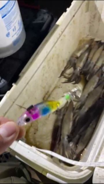 535a6f26-c60a-4a5b-9668-9fb50ab89bae