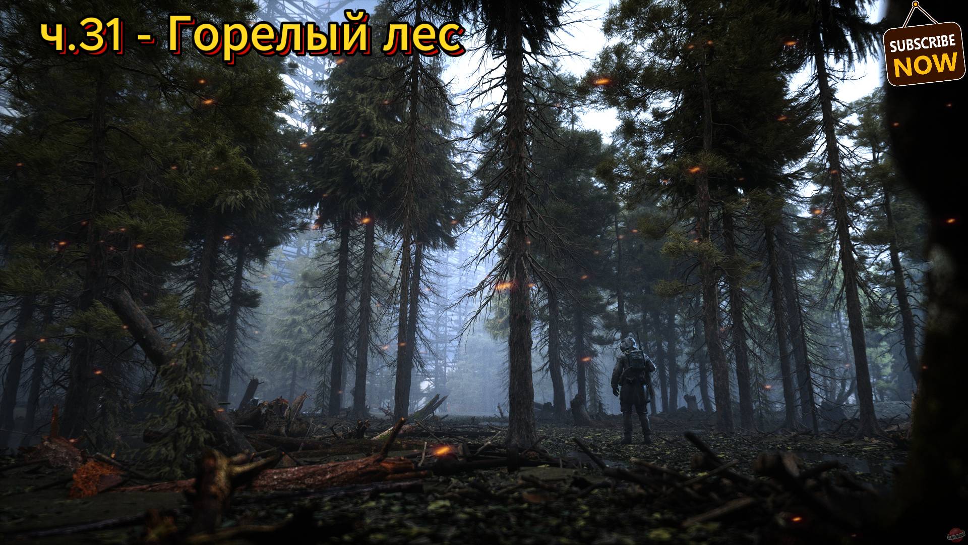 Сталкер 2 / S.T.A.L.K.E.R. 2 прохождение на русском | Горелый лес | ч.31