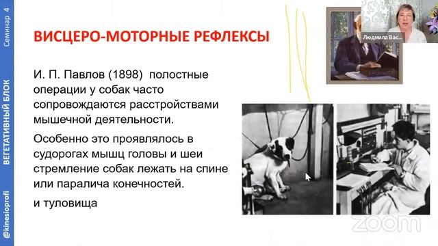 ВИСЦЕРАЛЬНАЯ ТЕРАПИЯ органов брюшной полости