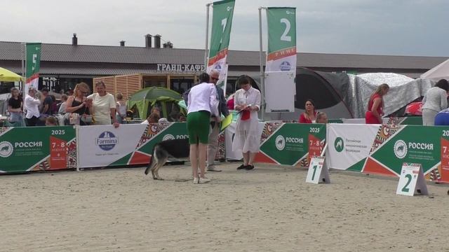 Бетэльгейзе Лаэрс Соната