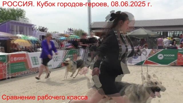 Сравнение рабочего класса