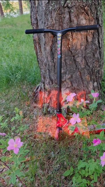 Эдит трюковой самокат