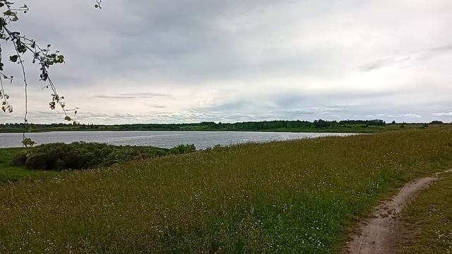 Перед дождём. Природа России. Релакс.