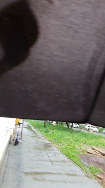 Дождь из трубы по зонтику