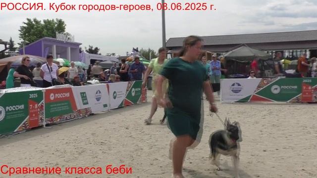 Сравнение класса беби