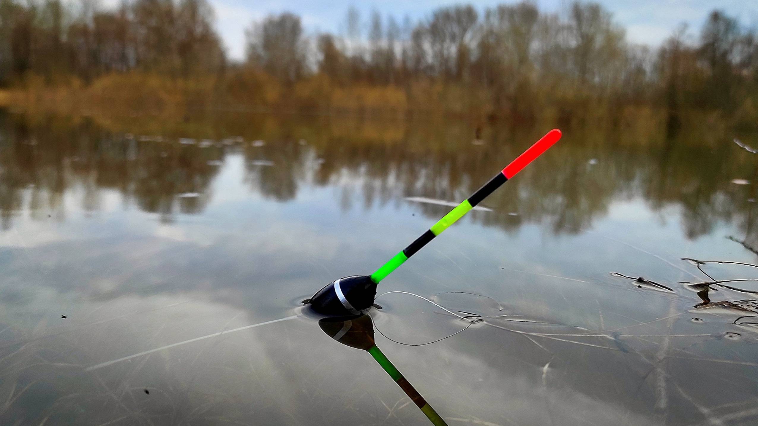 ЗАКИНУЛ В ЛЕСНОЙ ПРИТОК И ПОВЕЛО ПОПЛАВОК! Это лещ или карась?! Рыбалка 2025