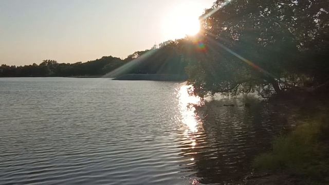 УЧИТЬСЯ ДРУГ У ДРУГА