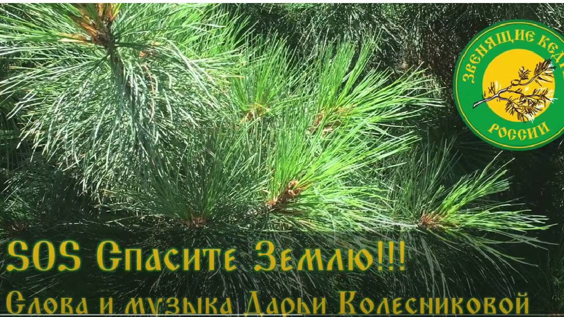 Наша Дарья  - SOS! Спасите Землю!!! (авторская)