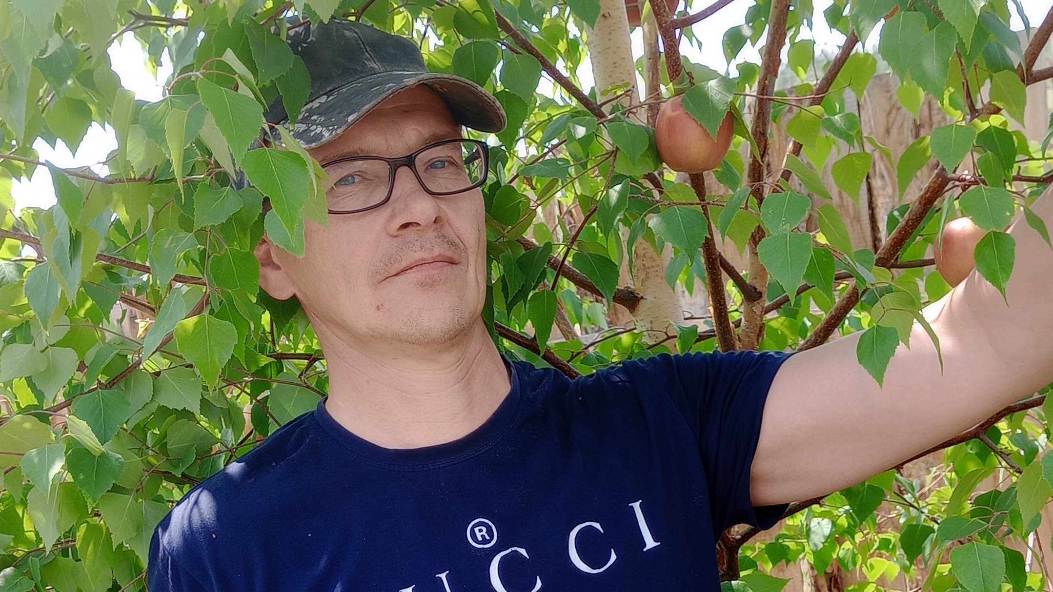 НАЛИВНЫЕ ЯБЛОКИ