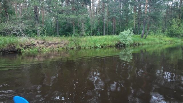 Сплав по реке  Песь. ( Новгородская - Вологодская область ) . Расстояние маршрута 56 км