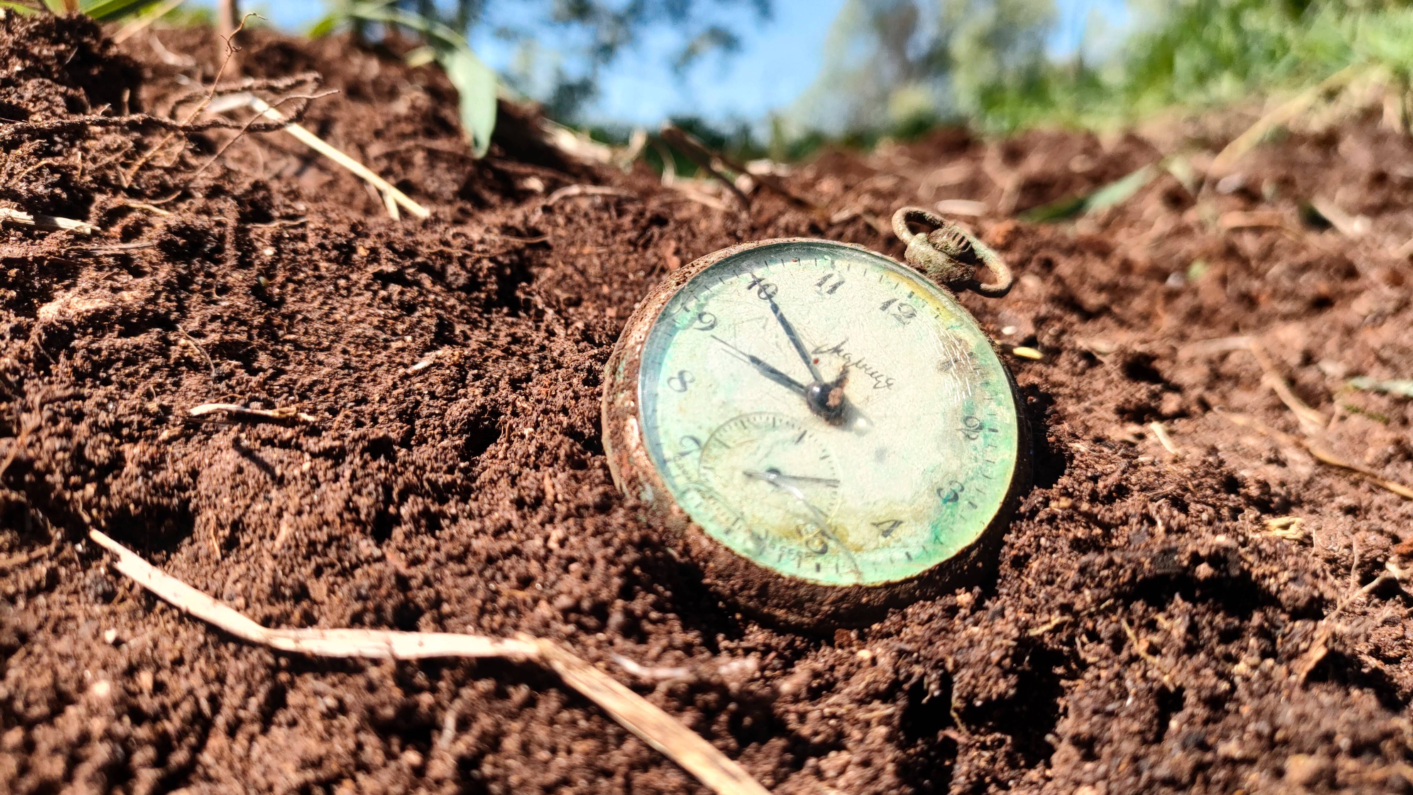 Редкая находка на шурфе