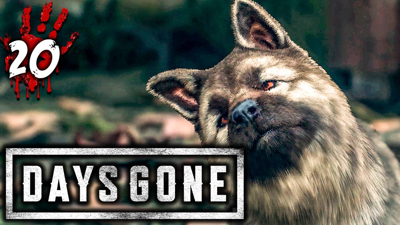 Маленький друг ➤ DAYS GONE Прохождение 20 ● геймплей, игрофильм, обзор