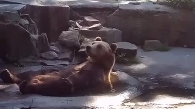 Миша принимает ванну