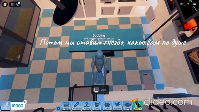 Гайд на гнездо: Как сделать магию вне Хогвартса?)