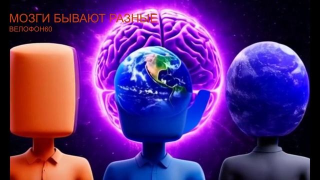 Мозги бывают разные