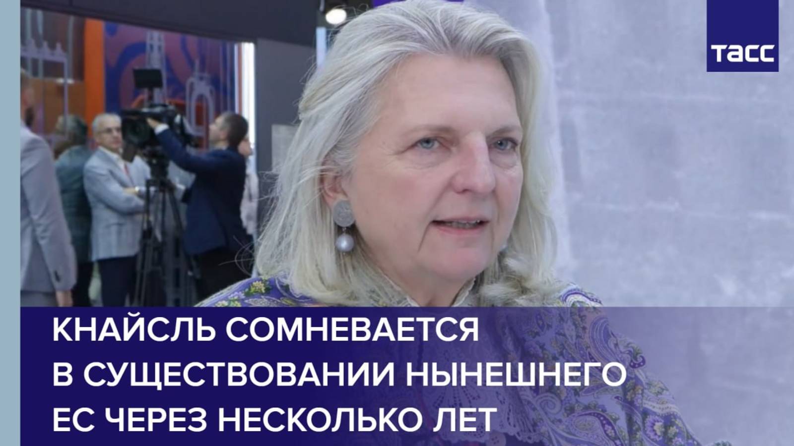 Кнайсль сомневается в существовании нынешнего ЕС через несколько лет