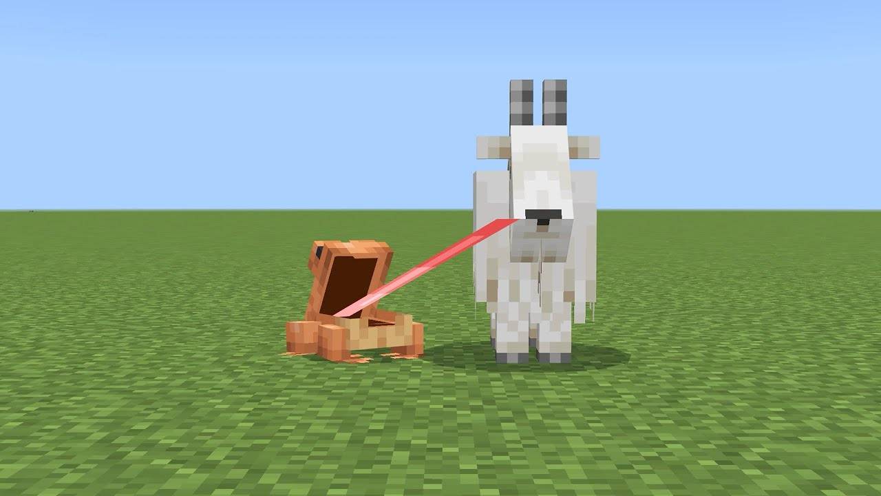 наконец-то появился достойный противник