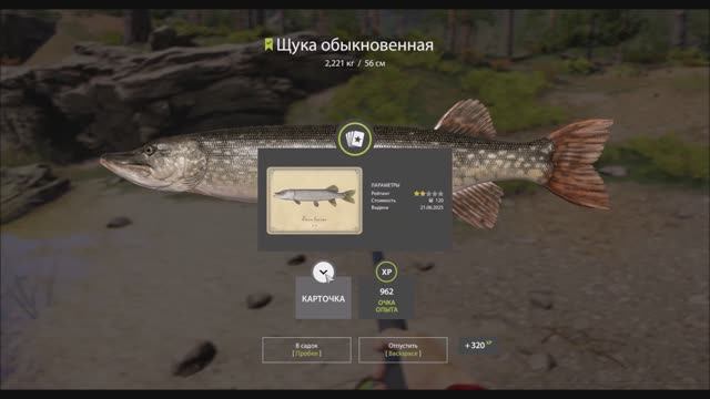 игры про рыбалку, Щука, рыбы с карточками, московская коллекция, игра Русская рыбалка 4