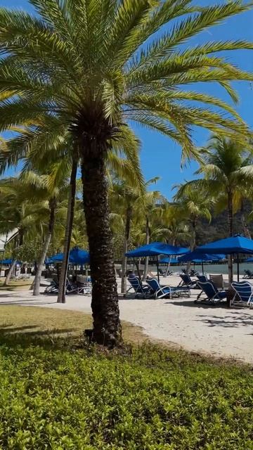 Райский уголок - остров Лангкави #малайзия #malaysia #лангкави #langkawi