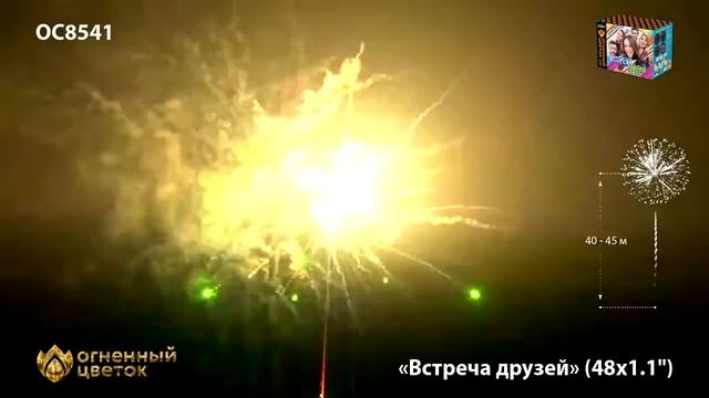 OC8541 Встреча друзей