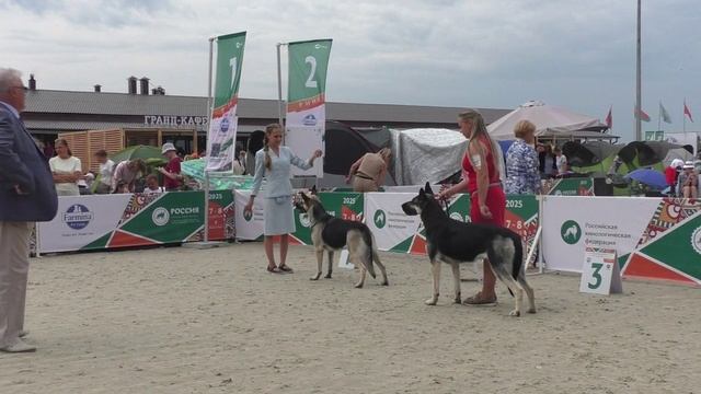 Сравнение промежуточного класса