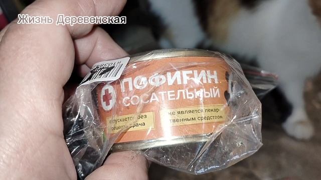 Получаем и тестируем кашу быстрого приготовления для собак "Альма" и получаем подарок от подписчицы.