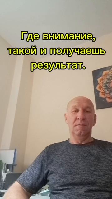 Внимание формирует нашу реальность