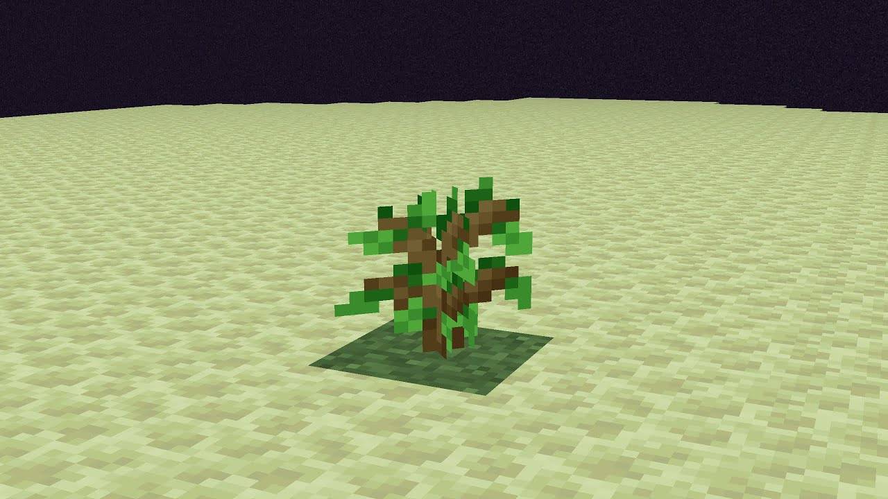 может ли дерево вырасти в конце концов?