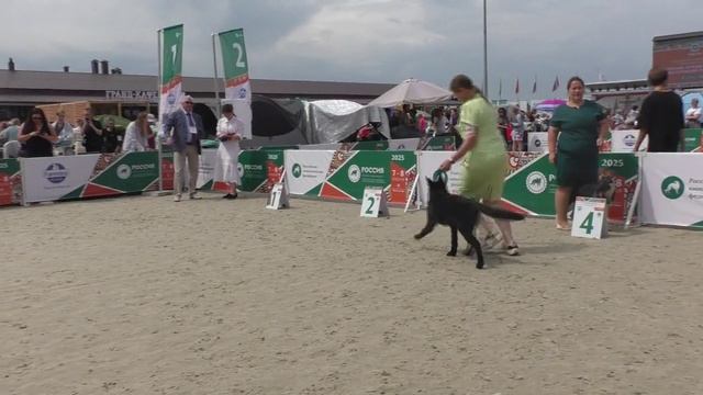 Омская Дружина Эра Водолея