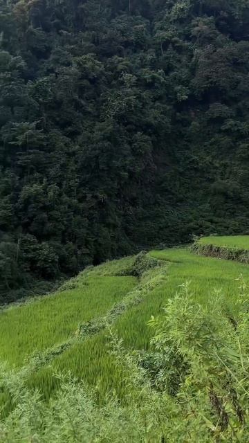 Непал и водопад неподалеку от Читвана #непал #nepal