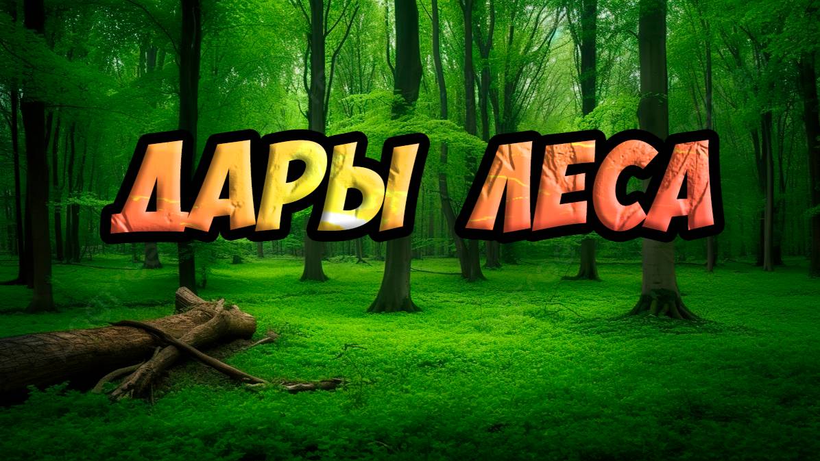 Дары леса - что собирать в лесу помимо грибов