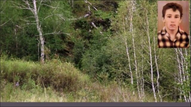 Настрой Сытина   Оздоровление волос на голове 2