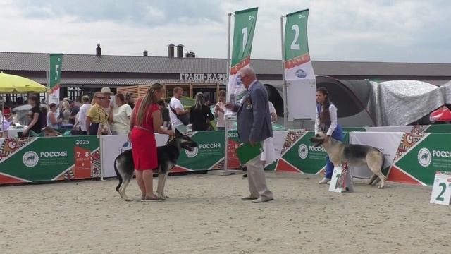 Ольвал Дэнис Румба