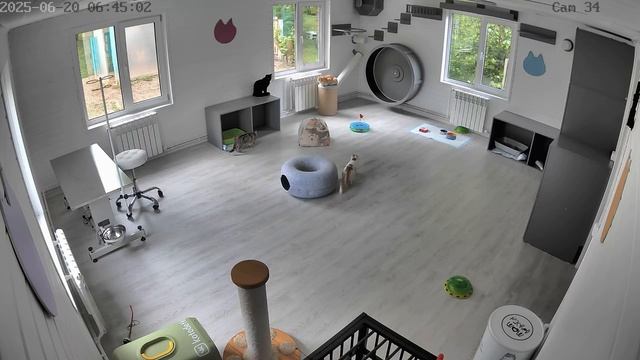 Наш котодом❤️