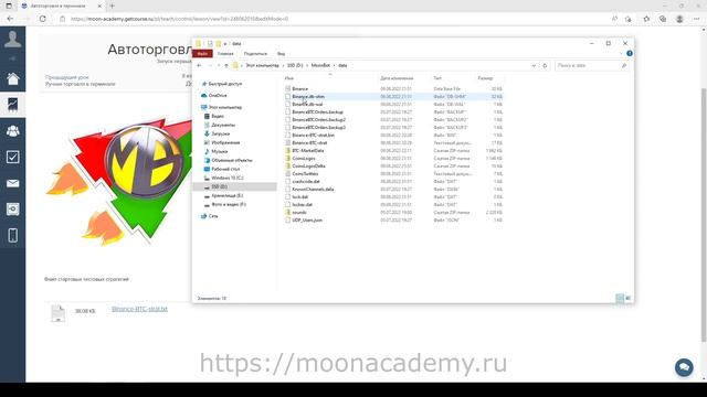 08 - Автоторговля в терминале MoonBot