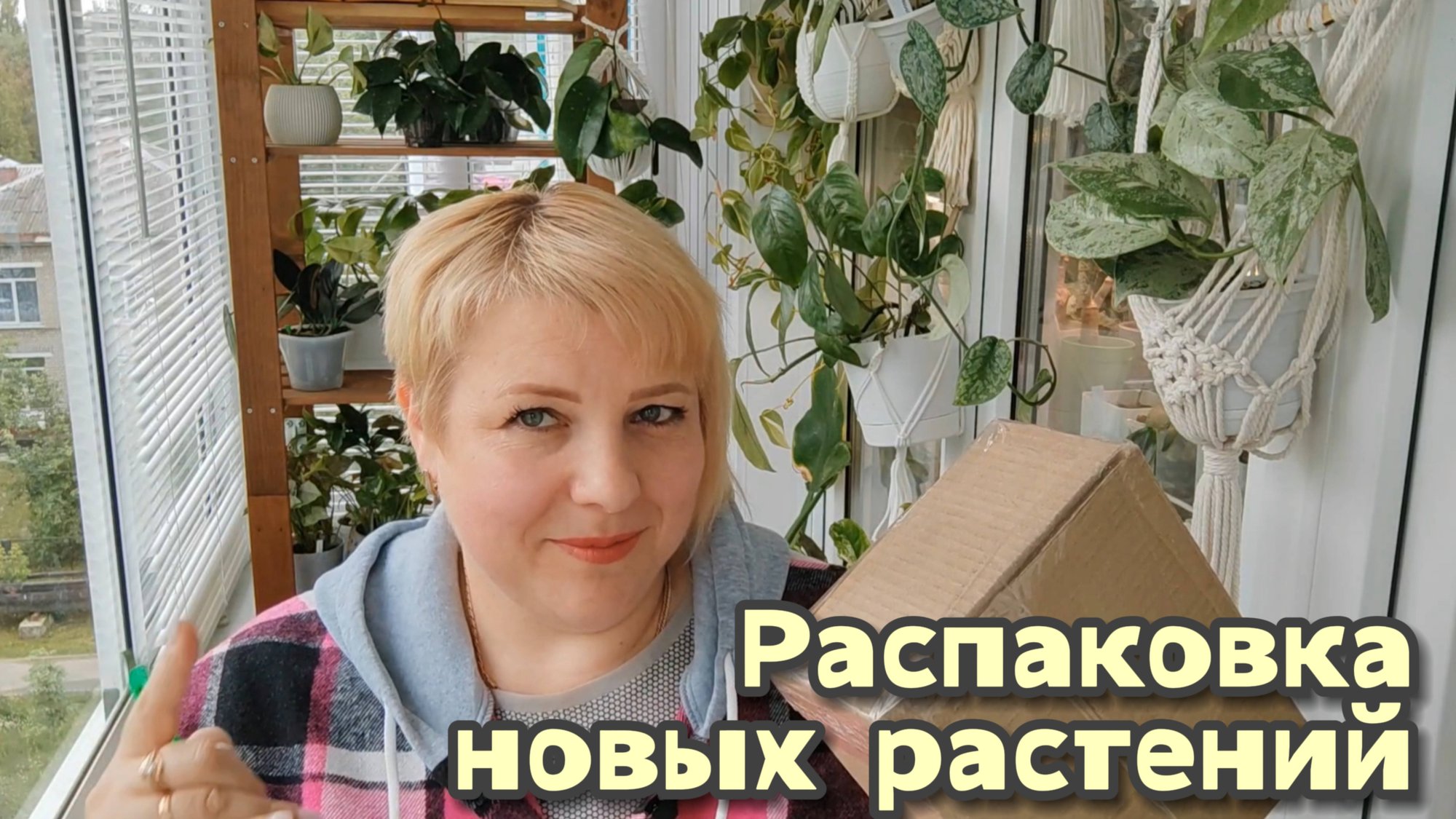 Распаковка посылки с новыми растениями 📦