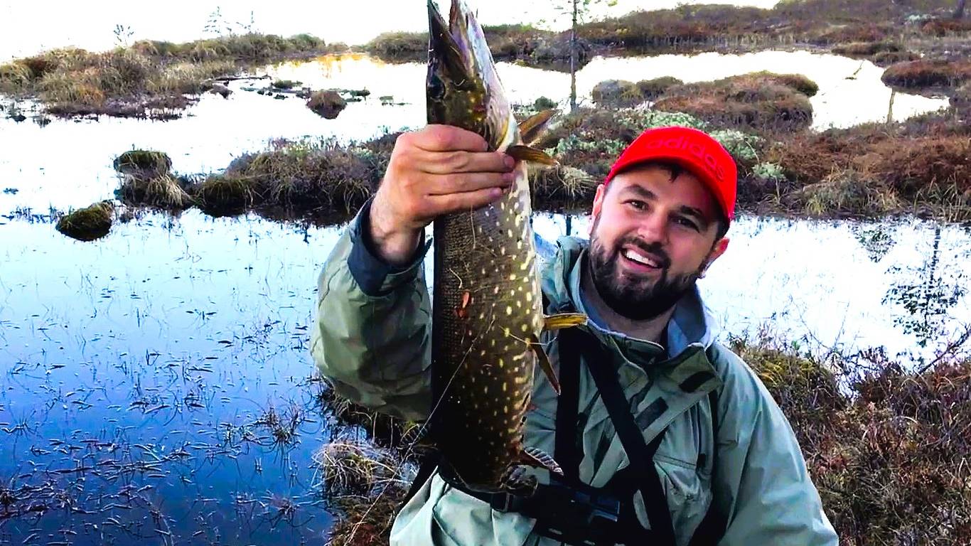 Приграничные озёра. ОХОТА на ЩУК. Напарника узнали?