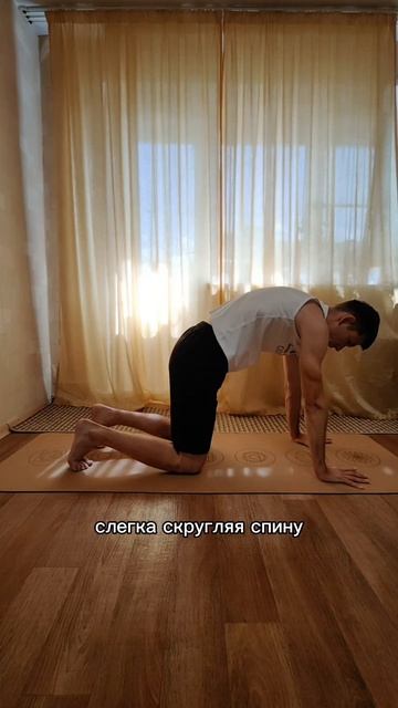 Планка. День 1