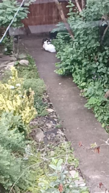 Кто кого пересидит