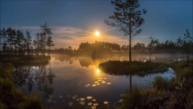 Robert Davies - Waning Light