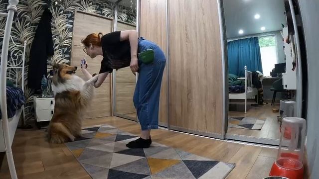 Портос, трюки, июнь 25