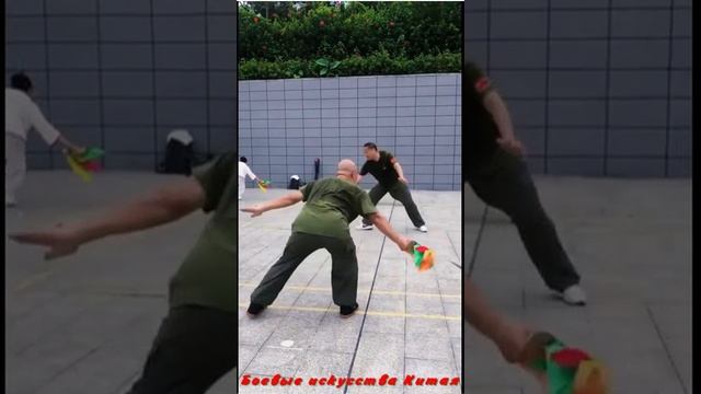 36-стиль меча Тайцзи