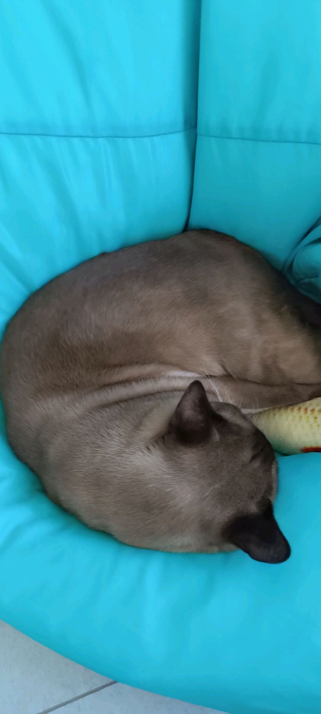 Марсик едит в отпуск со всей семьëй