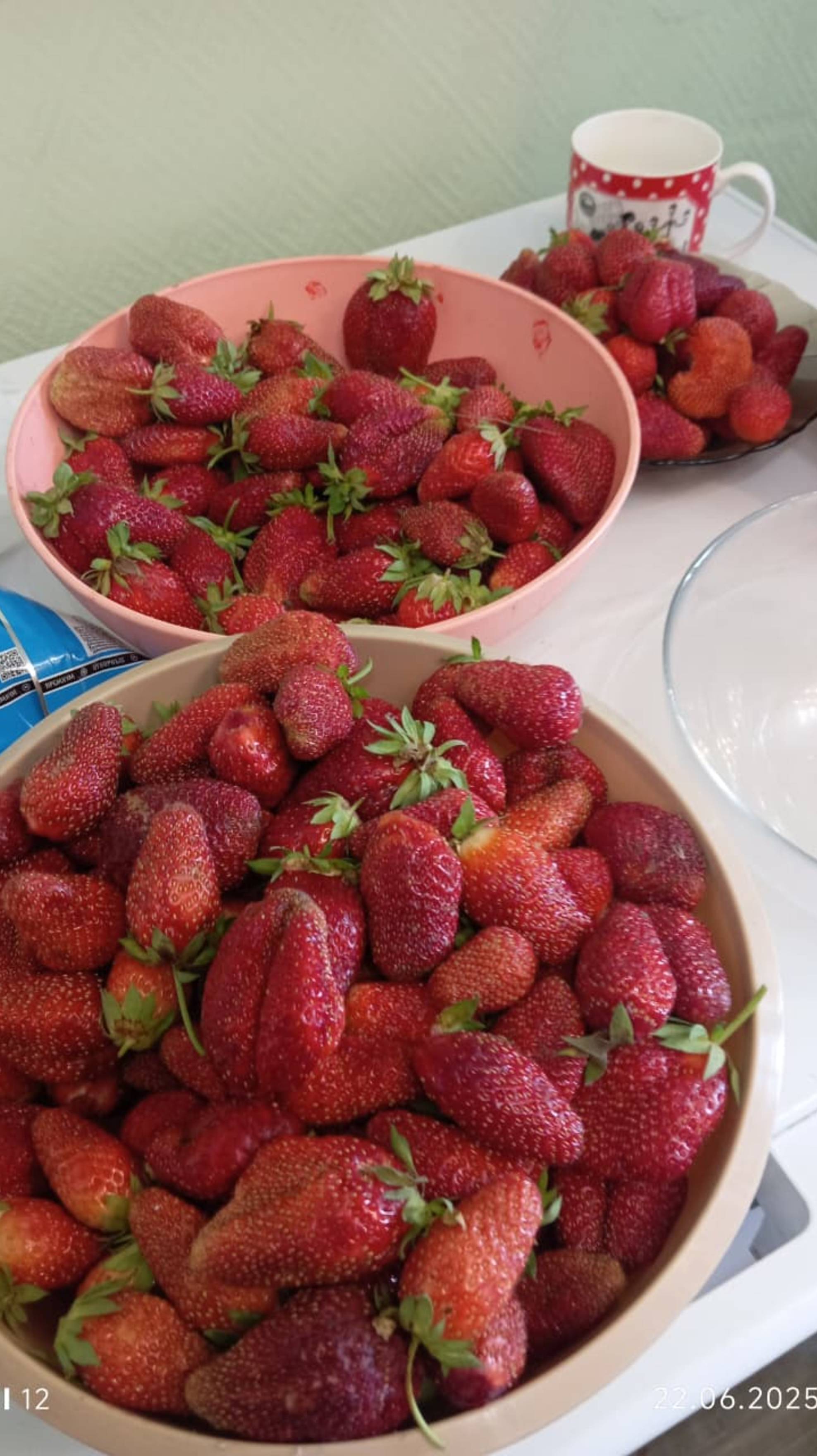 Трудовой десант на виктории