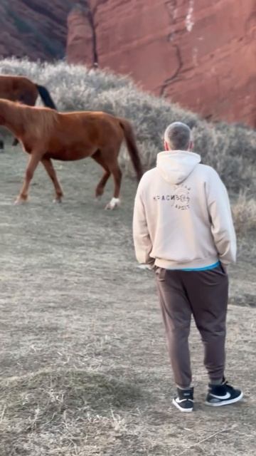 Кыргызстан - это очень красиво #кыргызстан #kyrgyzstan #issikkul #иссыккуль #барскоон