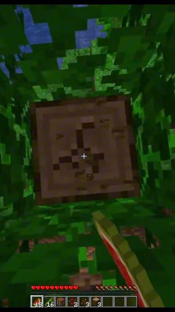 работник месяца