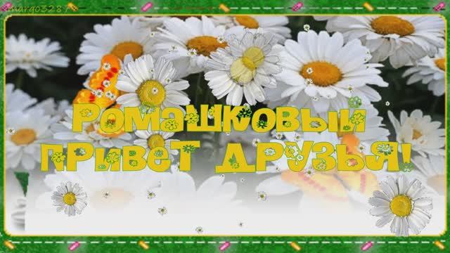 Ромашковый привет Друзьям!