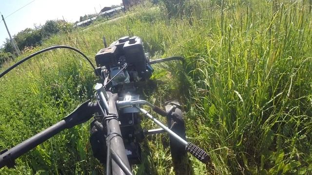 косилка Заря, косим люцерну 1