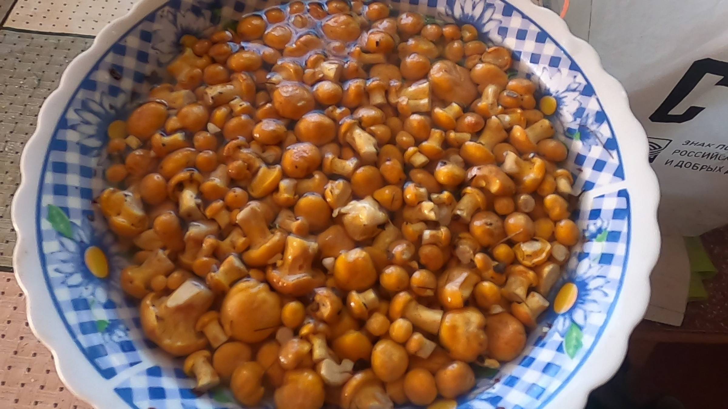 #2. Лисички в Июне! второй заход